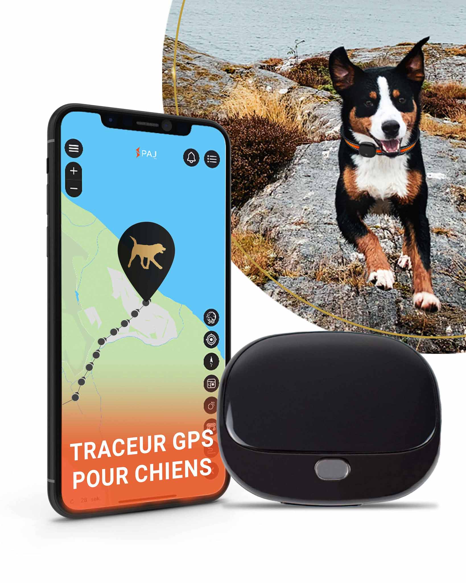 Traceur GPS pour chiens : léger et précis